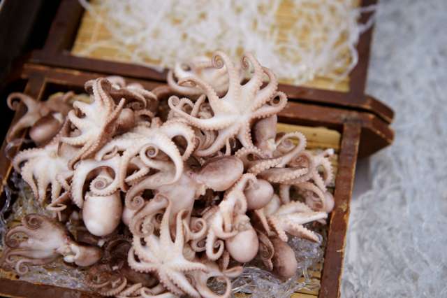 Foods | KANEMATSU VIETNAM